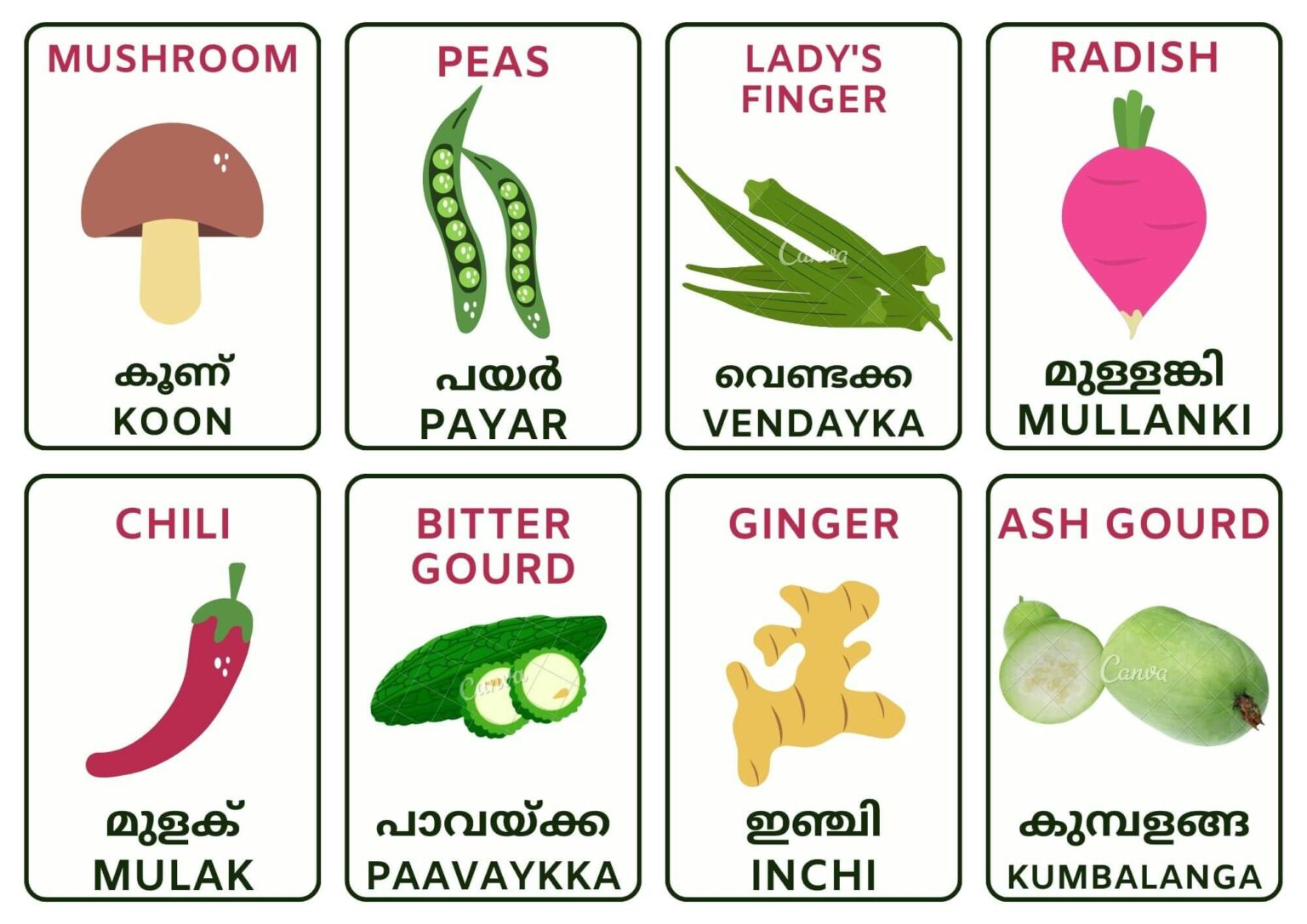 70+ Vegetable Names in Malayalam — Full List with Meaning