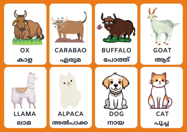 Animal Names in Malayalam | മൃഗങ്ങളുടെ പേരുകൾ