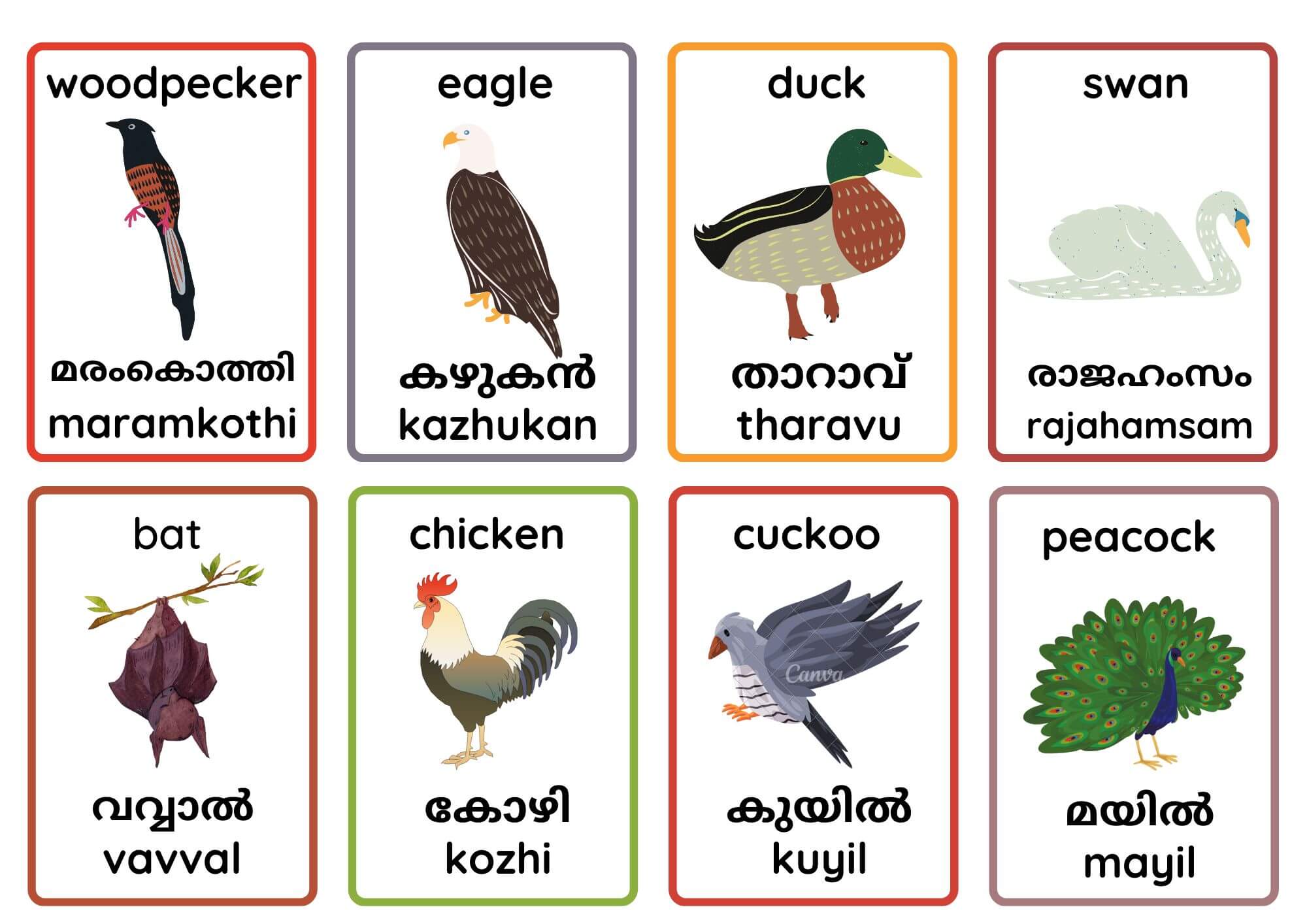 Birds Name In Malayalam Birds Name In Malayalam