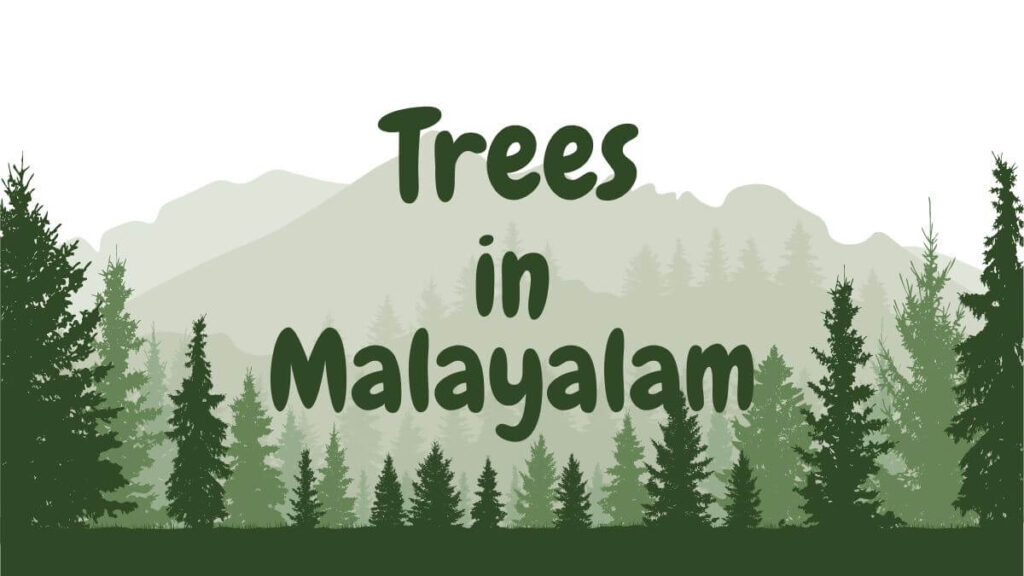 Tree Names in Malayalam: Easy and Quick Learning Guide