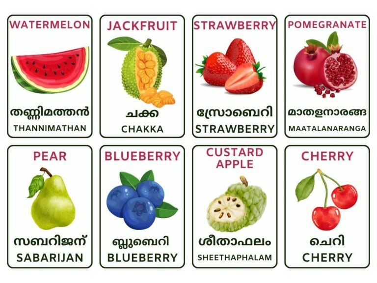 60+ Fruit Names in Malayalam with English & Transliteration