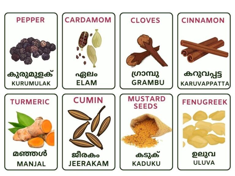 Spices in Malayalam: A Comprehensive Guide | DecodeMalayalam