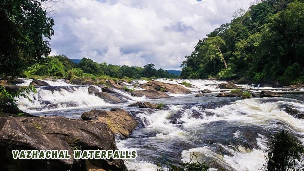Top 5 Waterfalls in Kerala You Must Visit | A Nature Lover's Guide
